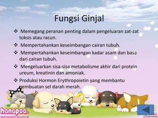 fisiologi ginjal Presentation1 | PPTX