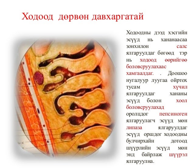 хоол боловсруулах замын эмгэг ба эмийн зохистой хэрэглээ
