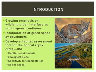 Bobcat HSI Model | PPTX