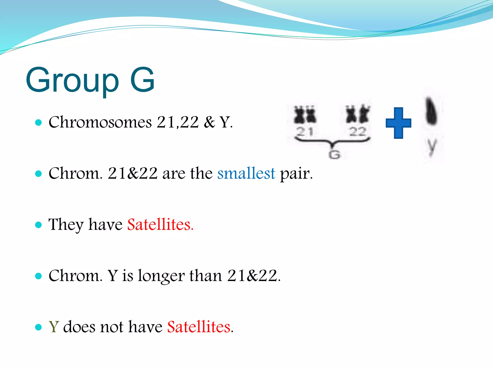 Classification of chromosomes | PPTX