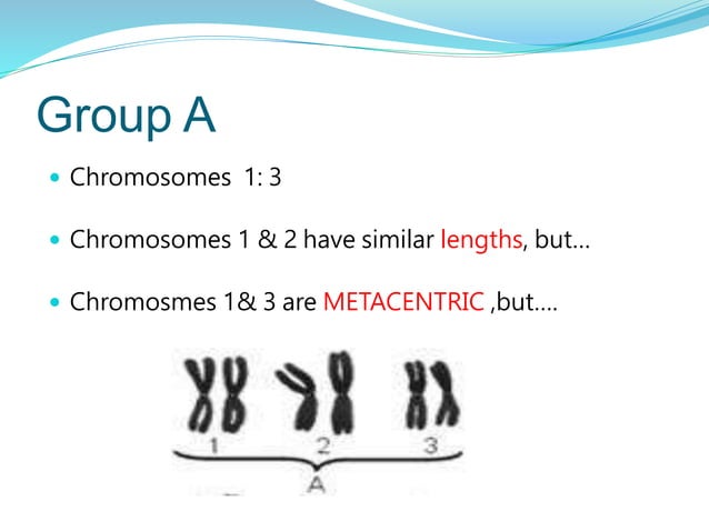 Classification of chromosomes | PPTX