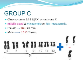 Classification of chromosomes | PPTX