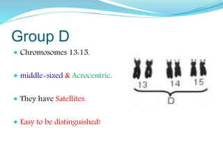 Classification of chromosomes | PPTX
