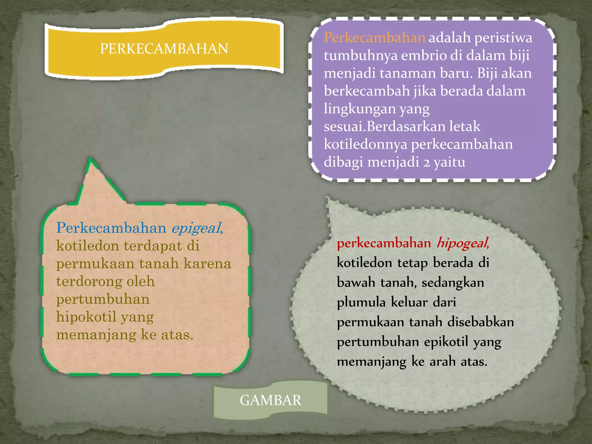 Pertumbuhan dan perkembangan tumbuhan | PPTX