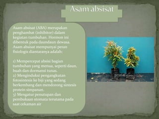 Pertumbuhan dan perkembangan tumbuhan | PPT