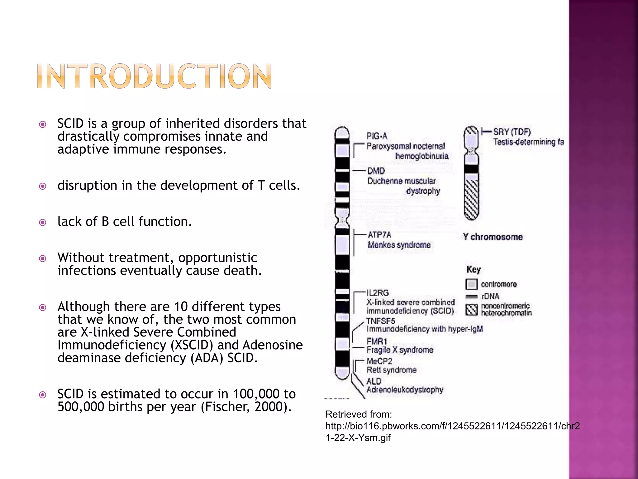 Adenosine deaminase (ADA) immunodeficiency | PPTX