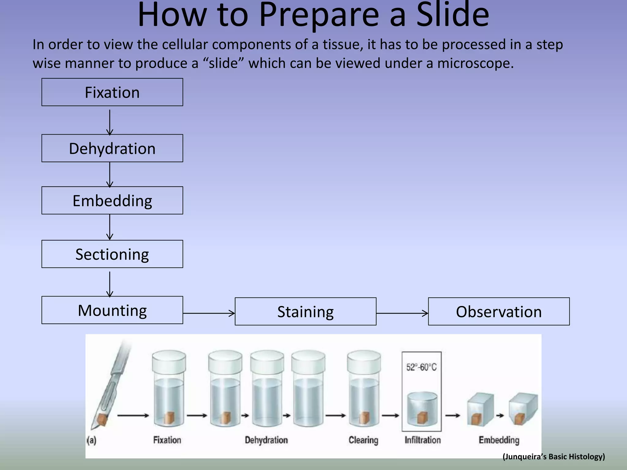 Histology Made Easy: Chap 1: Introduction to Histology | PPTX
