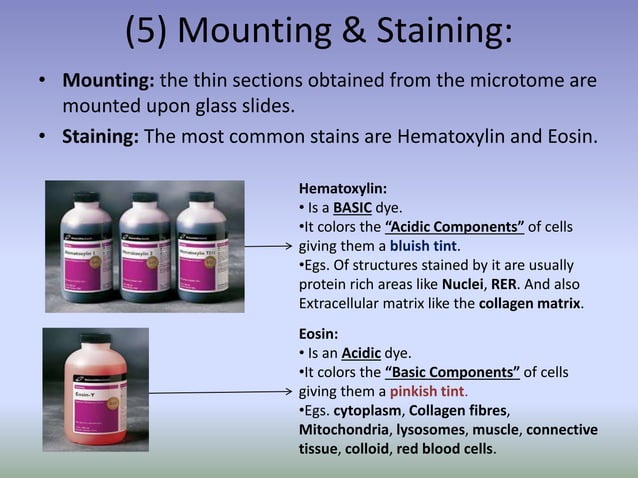 Histology Made Easy: Chap 1: Introduction to Histology | PPTX