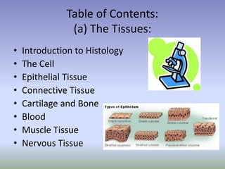 Histology Made Easy: Chap 1: Introduction to Histology | PPTX