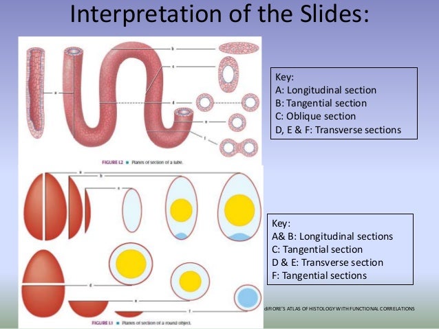Histology Made Easy: Chap 1: Introduction to Histology