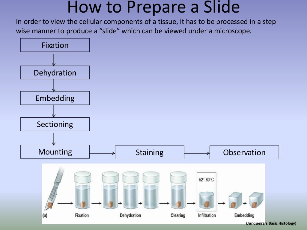 Histology Made Easy: Chap 1: Introduction to Histology