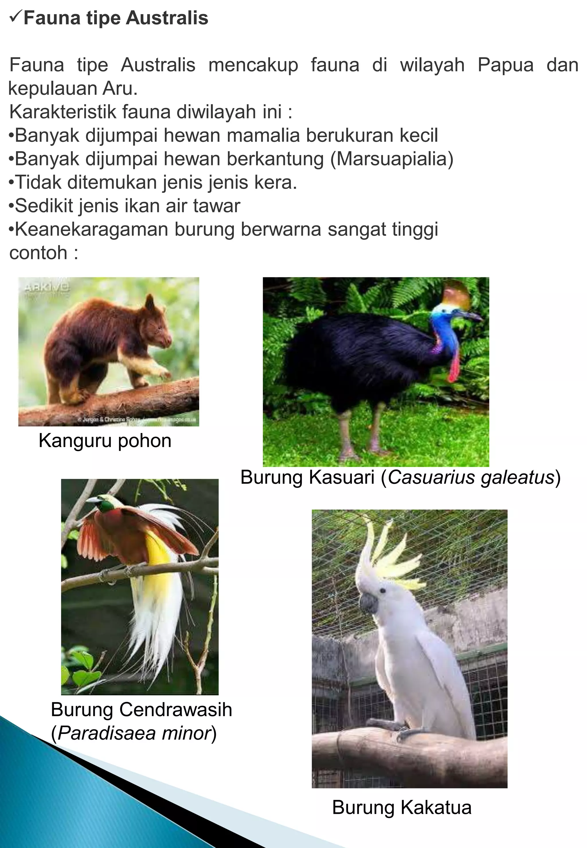 Presentation1 | PPTX
