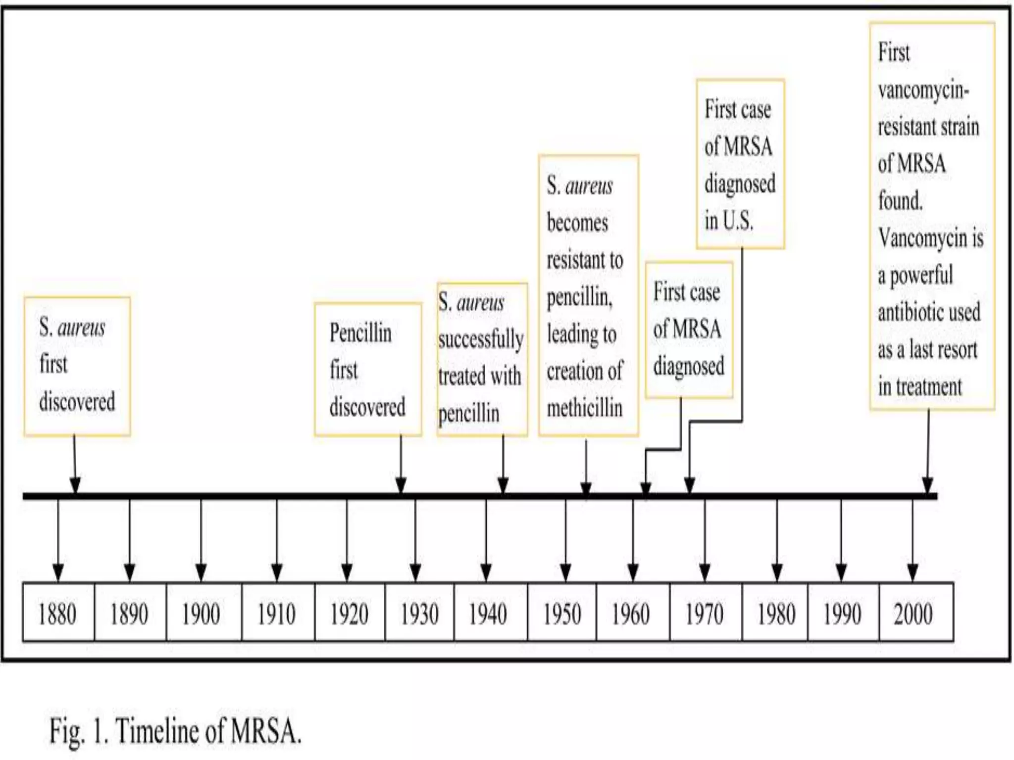 MRSA | PPTX