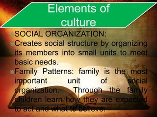 elements of culture | PPTX