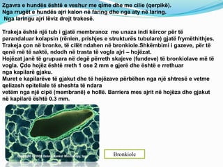 Presentation1 | PPTX