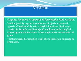 Presentation1 | PPTX