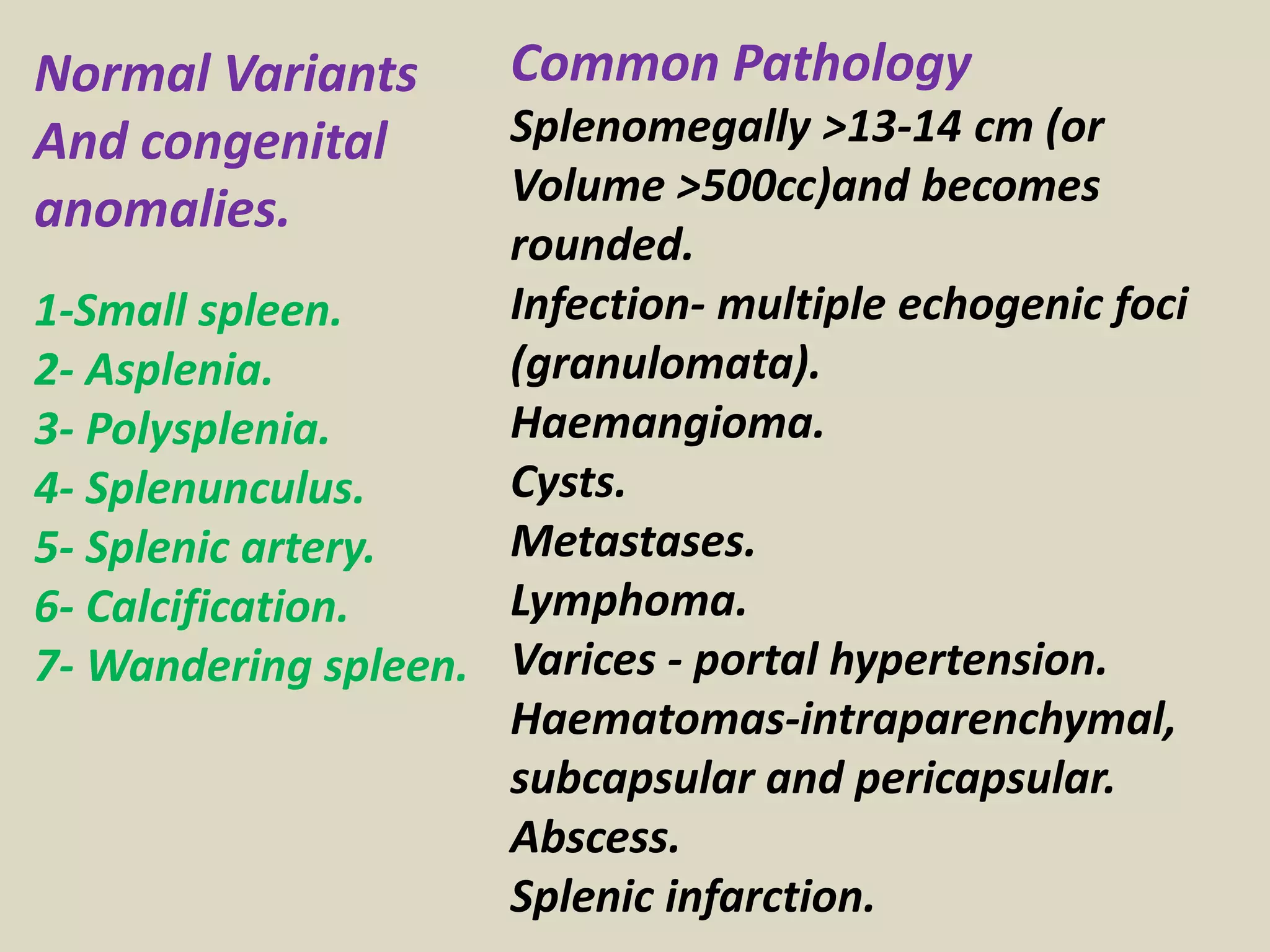 Presentation1.pptx, ultrasound study of the spleen and pancreas. | PPTX