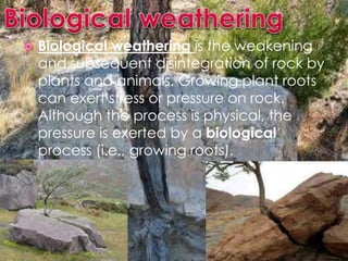 Weathering & Erosion | PPTX