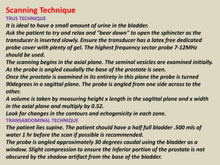 Presentation1.pptx, ultrasound examination of the urinary bladder and ...