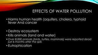 Water pollution | PPTX | Science