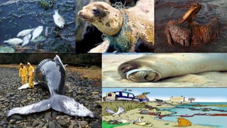 Water pollution | PPTX | Science