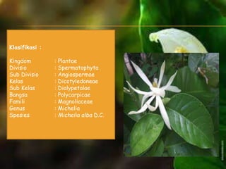 Presentation1 | PPTX