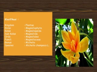 Presentation1 | PPTX