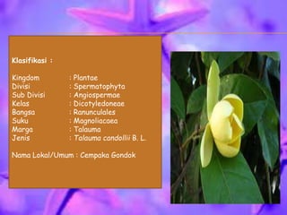 Presentation1 | PPTX
