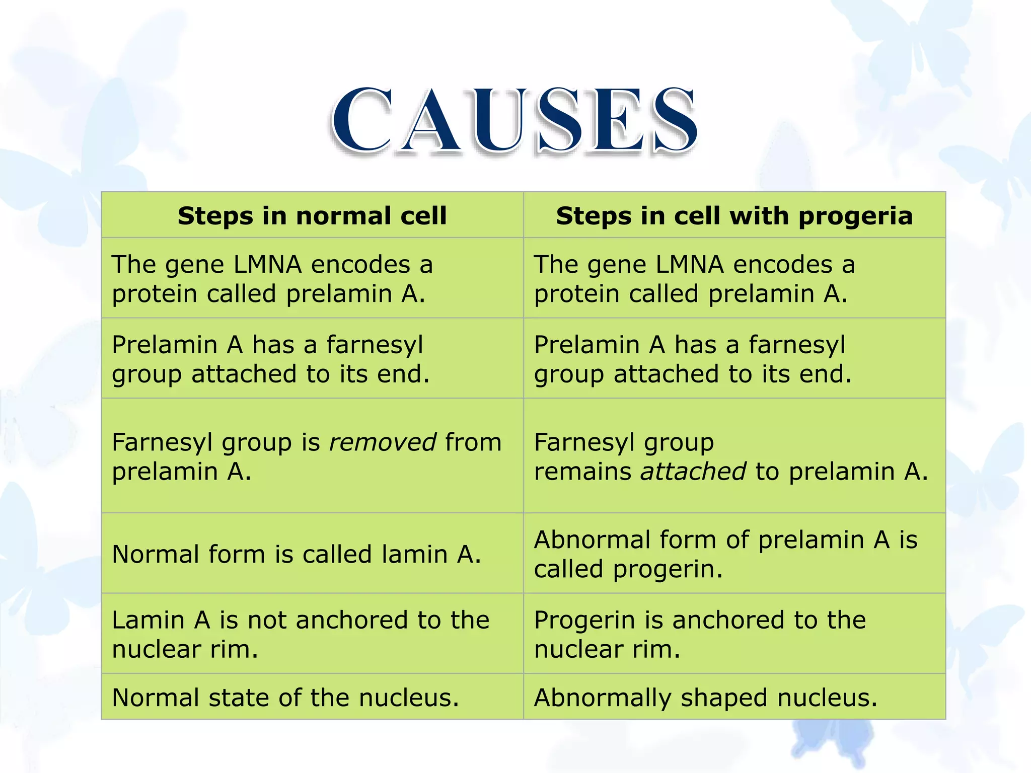 Progeria Syndrome | PPTX