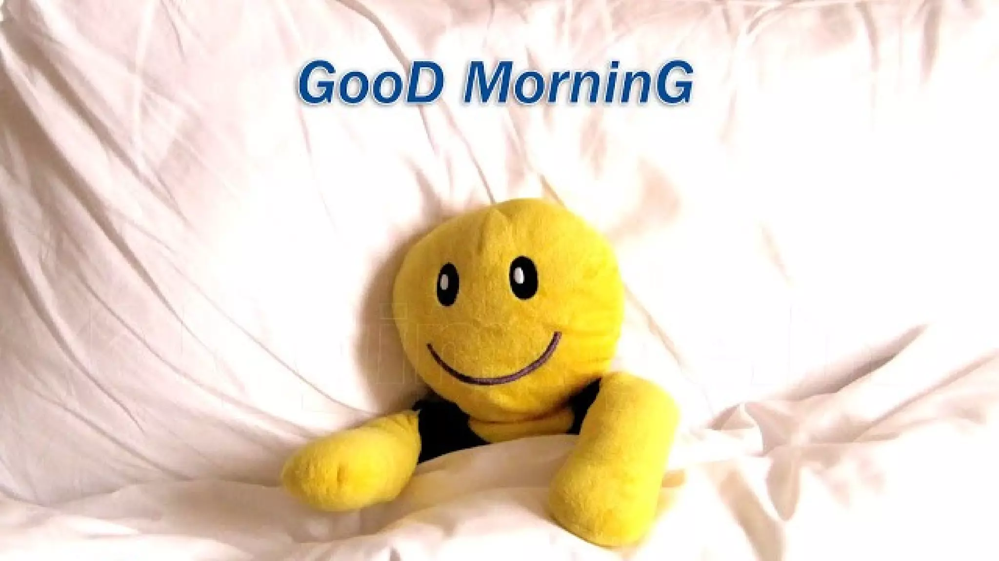 Rest and Rest Seat preparation..removable partial denture | PPT