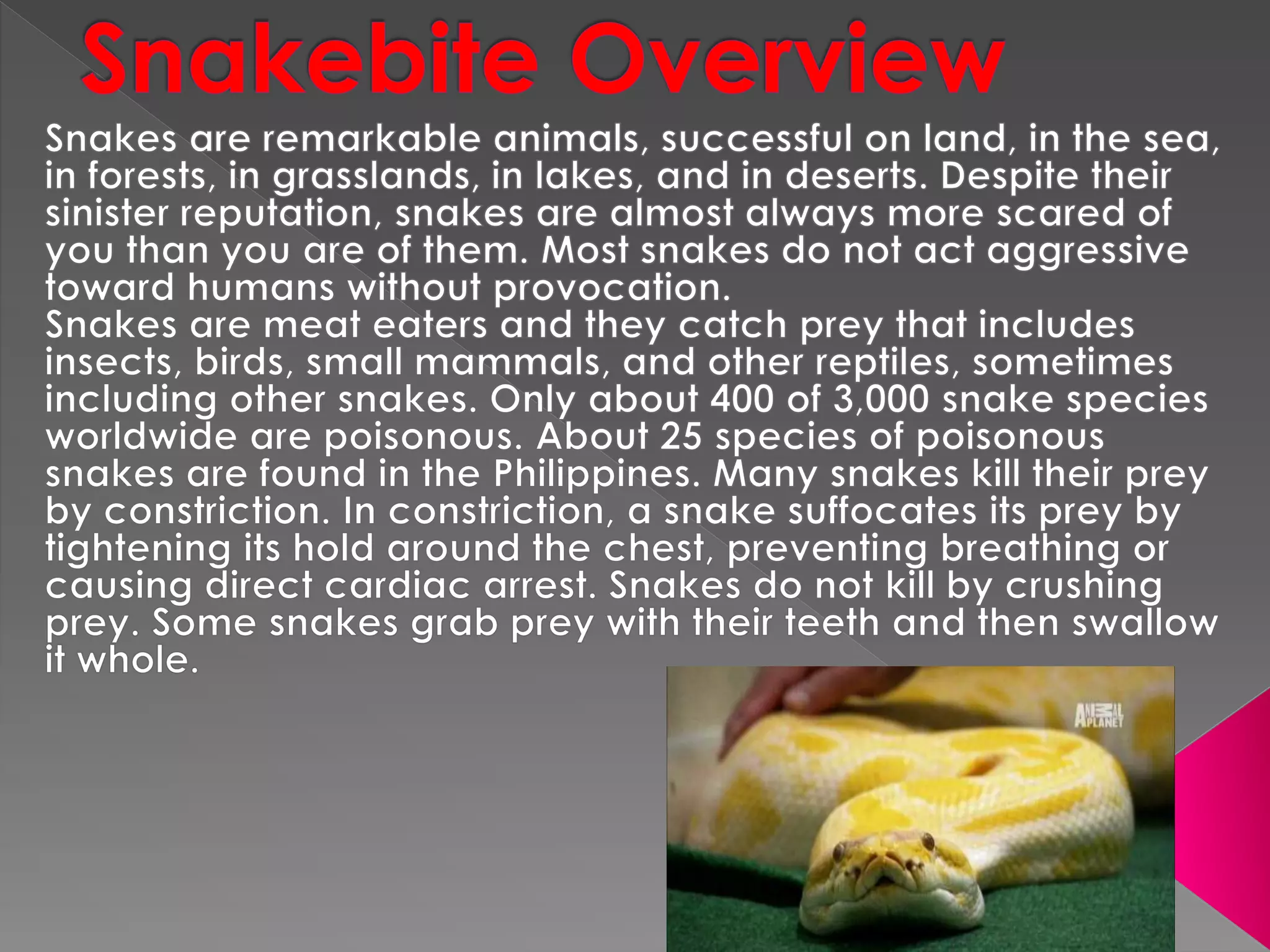 Snake Bite Management | PPTX