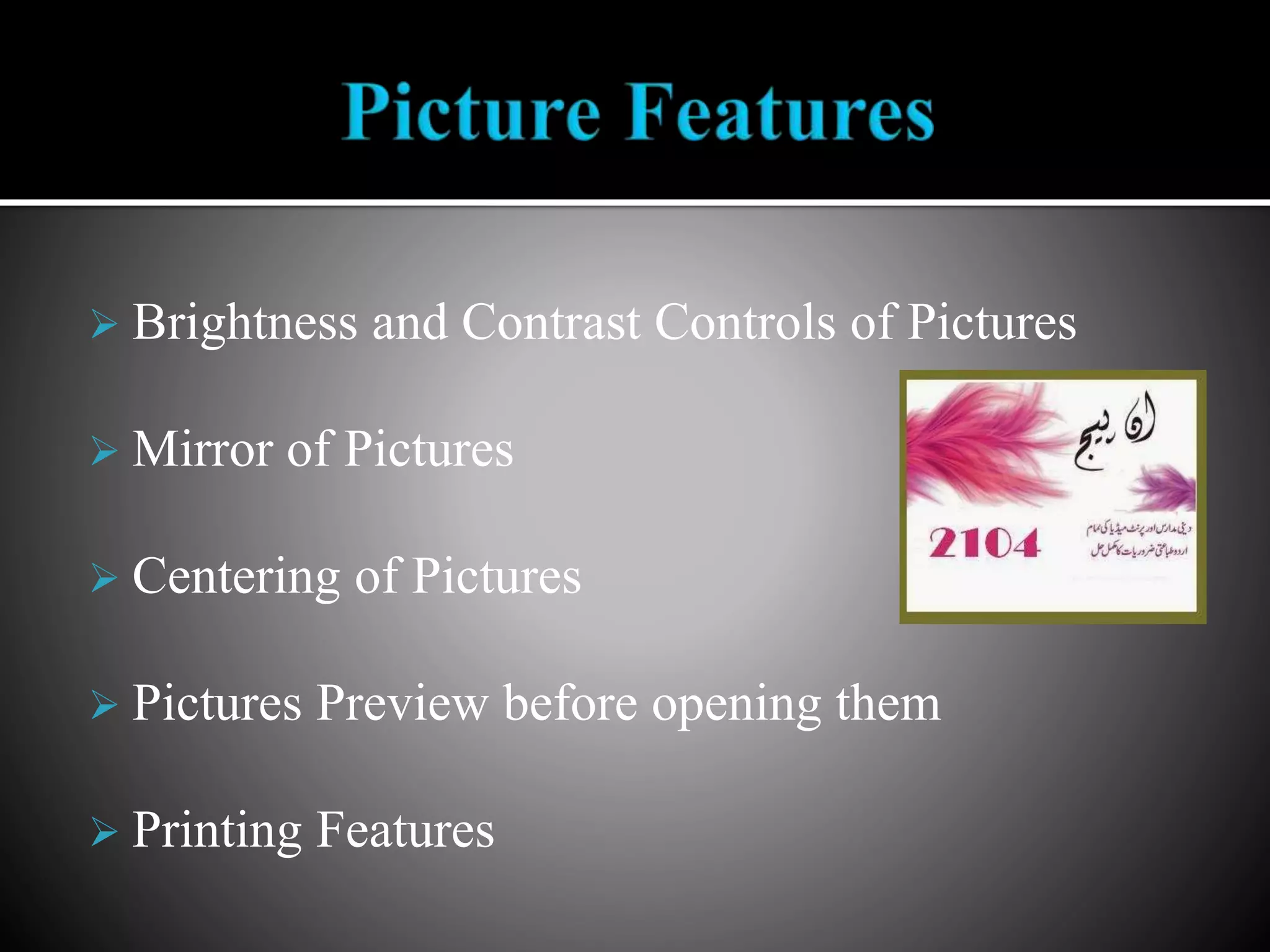 In-page Urdu Features | PPTX