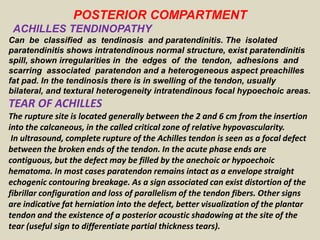 Presentation1.pptx. ultrasound examination of the ankle joint. | PPTX