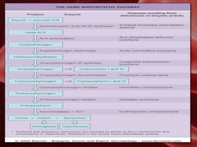 Porphyria | PPT