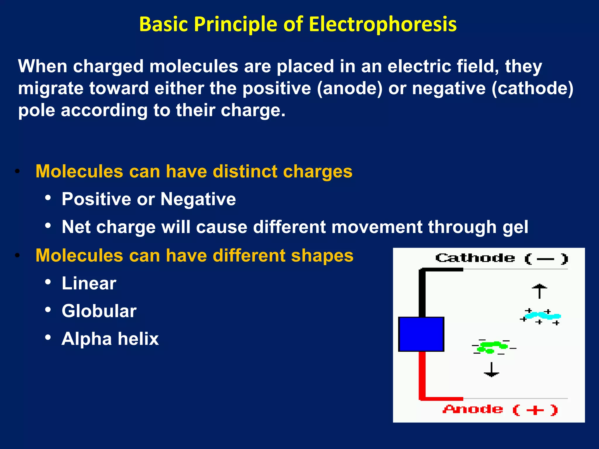 electrophoresis | PPTX