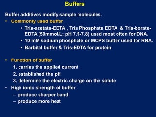 electrophoresis | PPTX