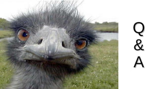 C Programming (break and continue) - Coders Trust | PPT