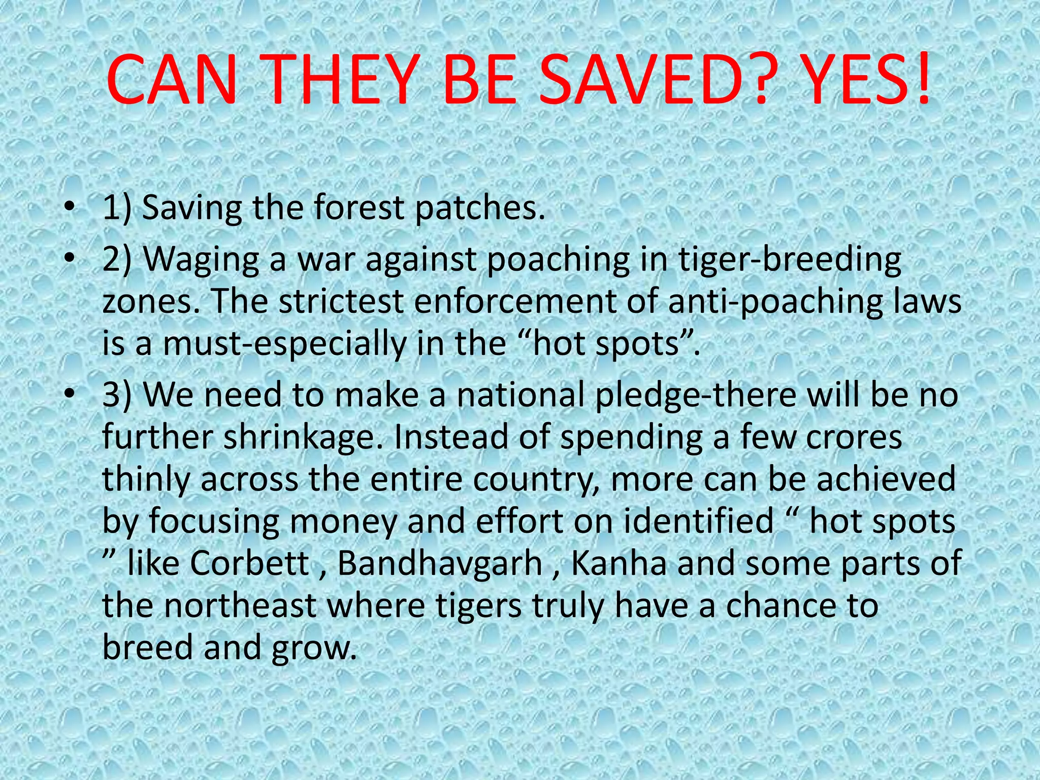 Save Tiger | PPTX