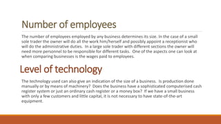 Factors that determine the size of a business | PPTX