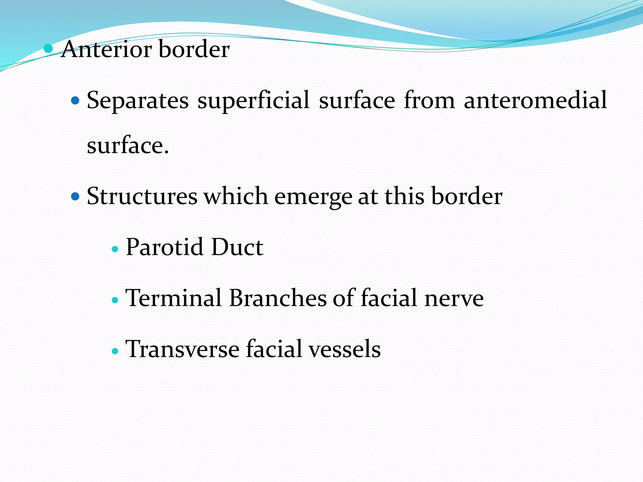 Parotid gland | PPTX