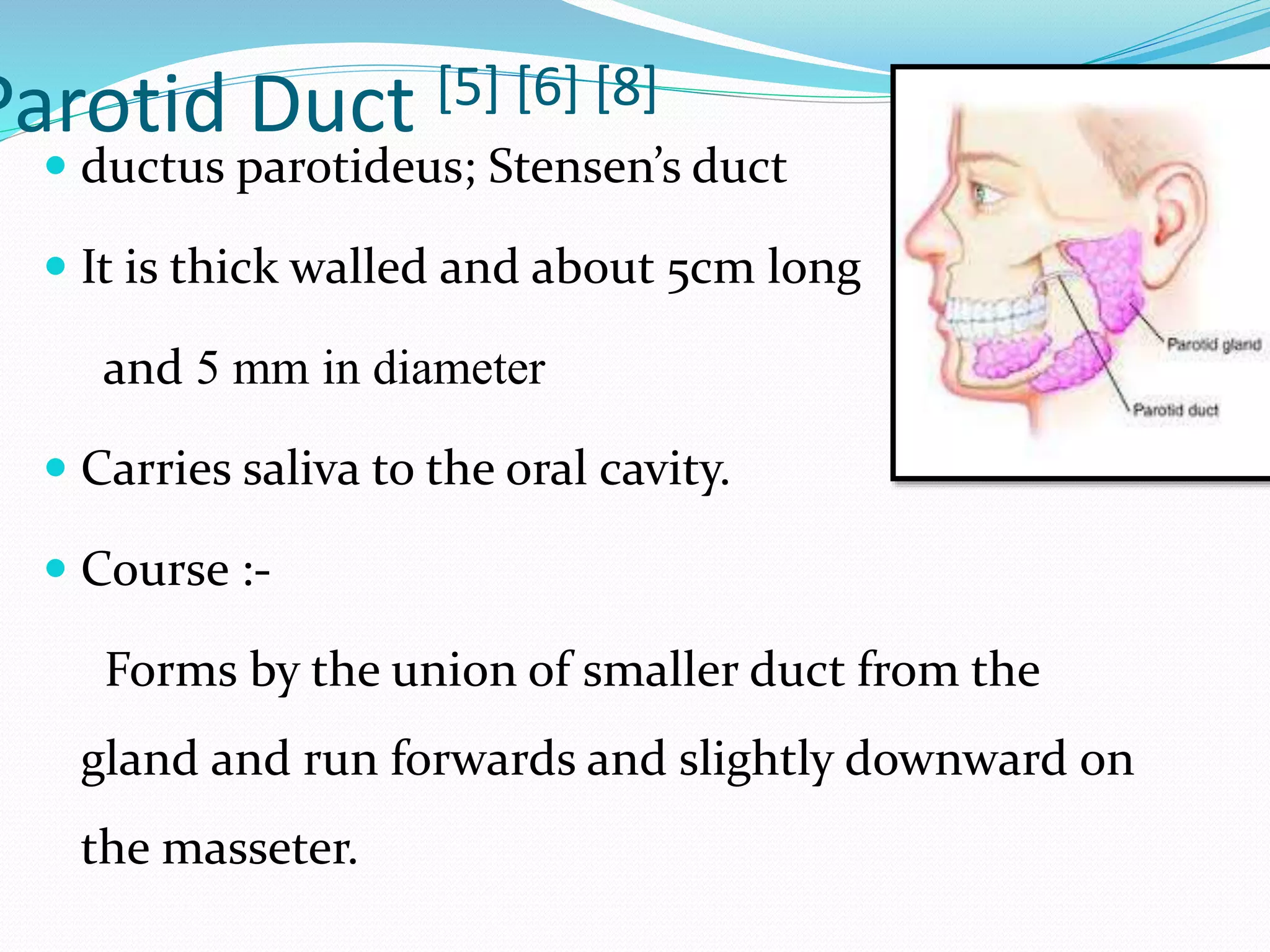 Parotid gland | PPTX