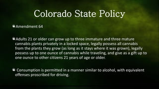 Economic effects of Drug Legalisation | PDF