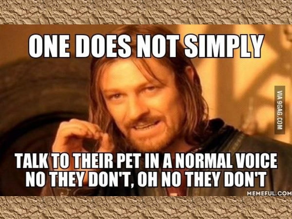 703 of the best Memes (Personal List)