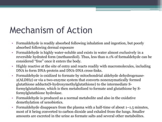 Presentation1 | PPTX