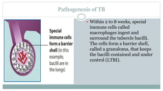 Drug Resistance in TB | PPTX