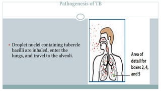 Drug Resistance in TB | PPTX