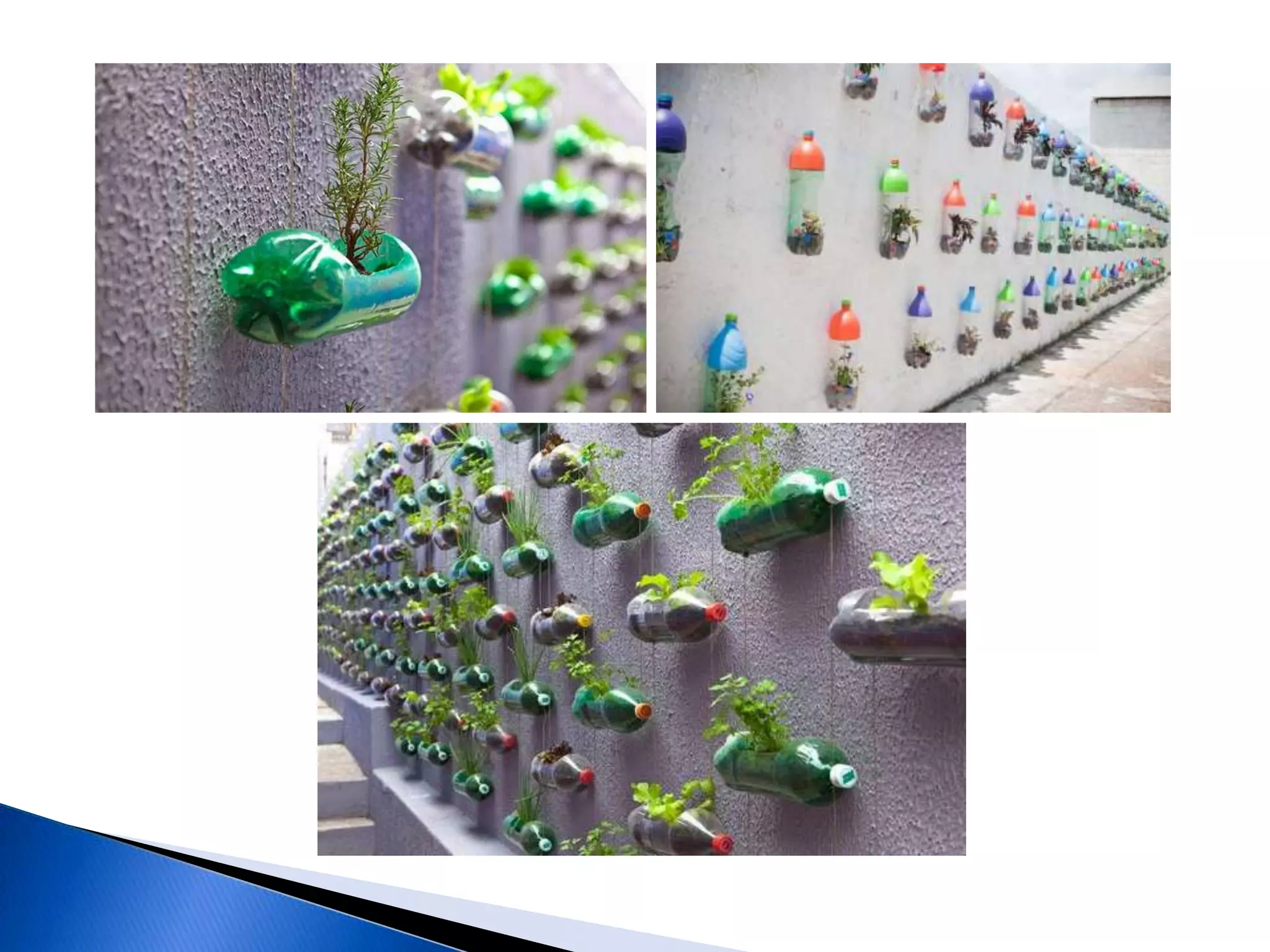 Rizki Darmawan Presentation1 | PPTX