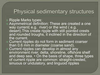 primary sedimentary structures | PPTX