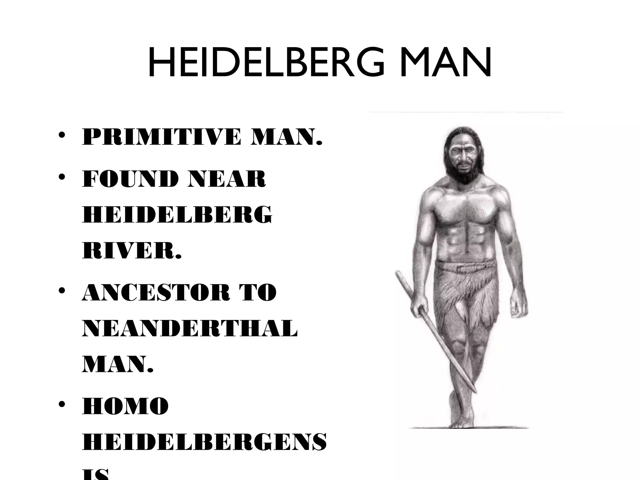 Evolution of Man | PPT