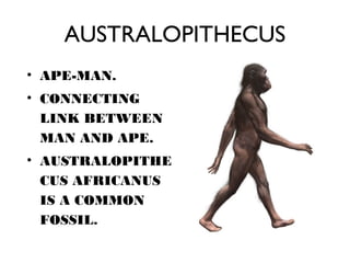 Evolution of Man | PPT